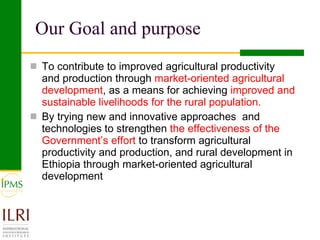 Introduction to IPMS livestock value chain intervention | PPT ...