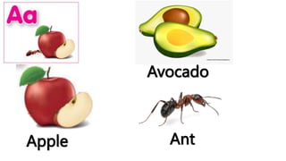 INTRODUCTION Lesson 1 I am Dam.pptx