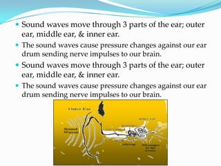 Introduction lesson animated | PPTX | Physics | Science