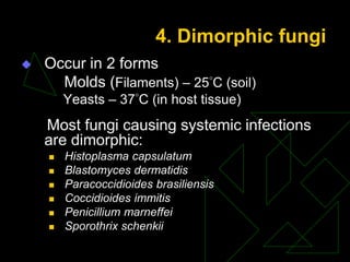 Introduction mycology | PPT