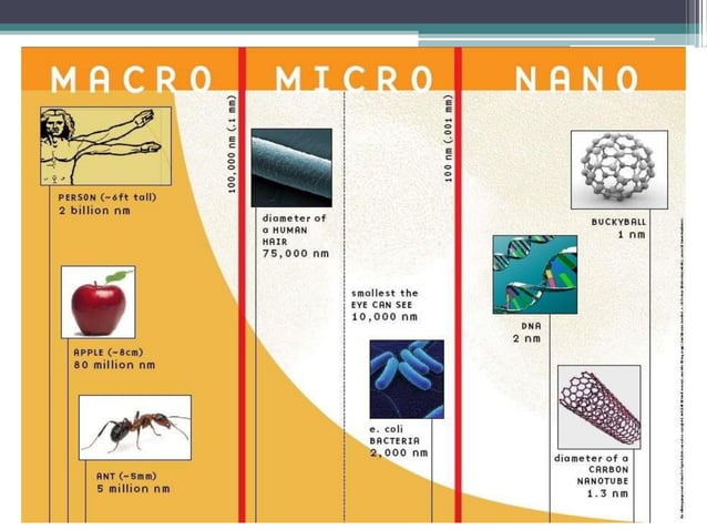 Basic introduction about nanotechnology, bionanotechnology | PDF
