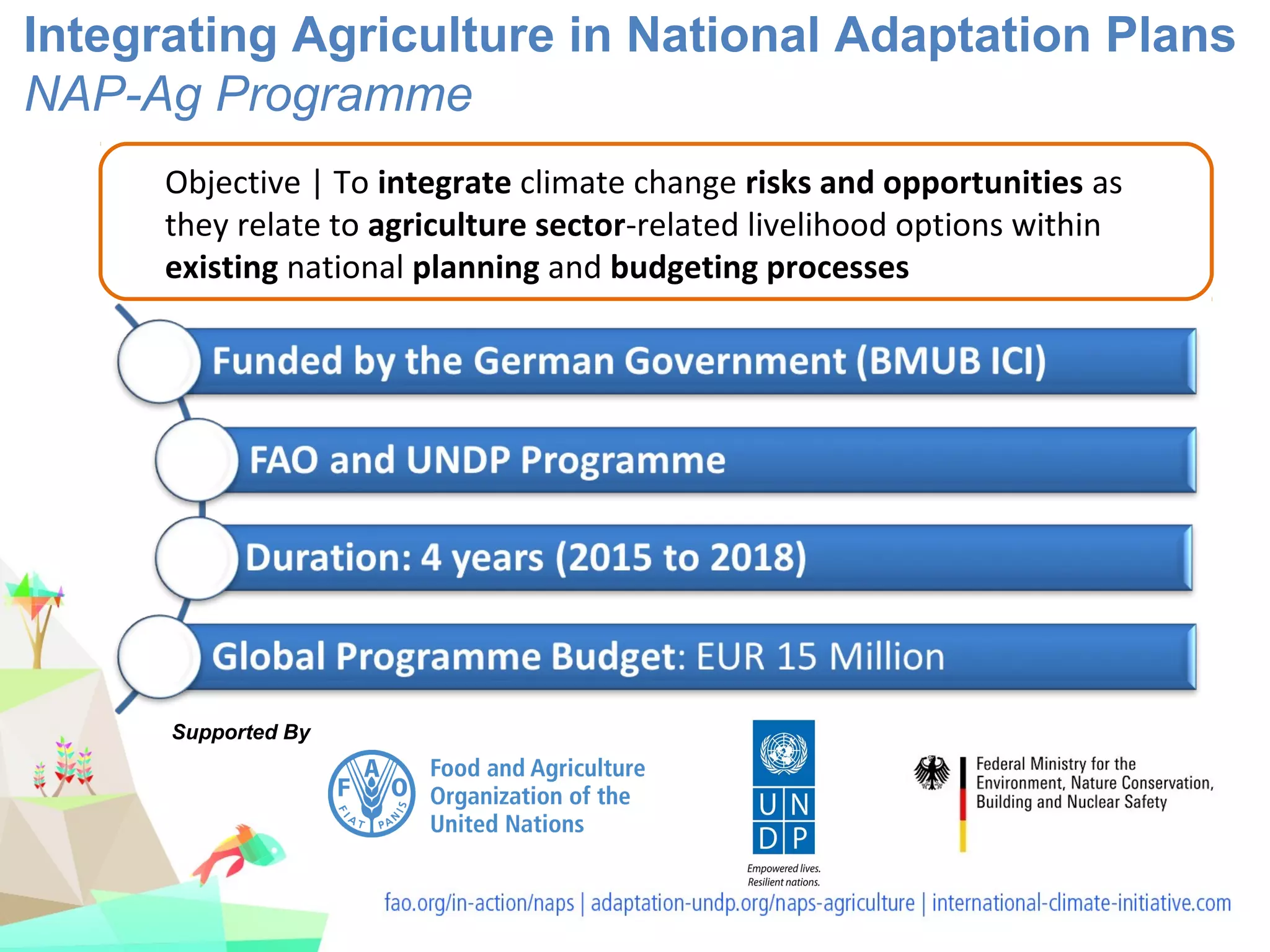 NAP-AG Webinar - Effective individual and institutional capacity ...