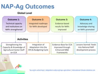 NAP-AG Webinar - Effective individual and institutional capacity ...