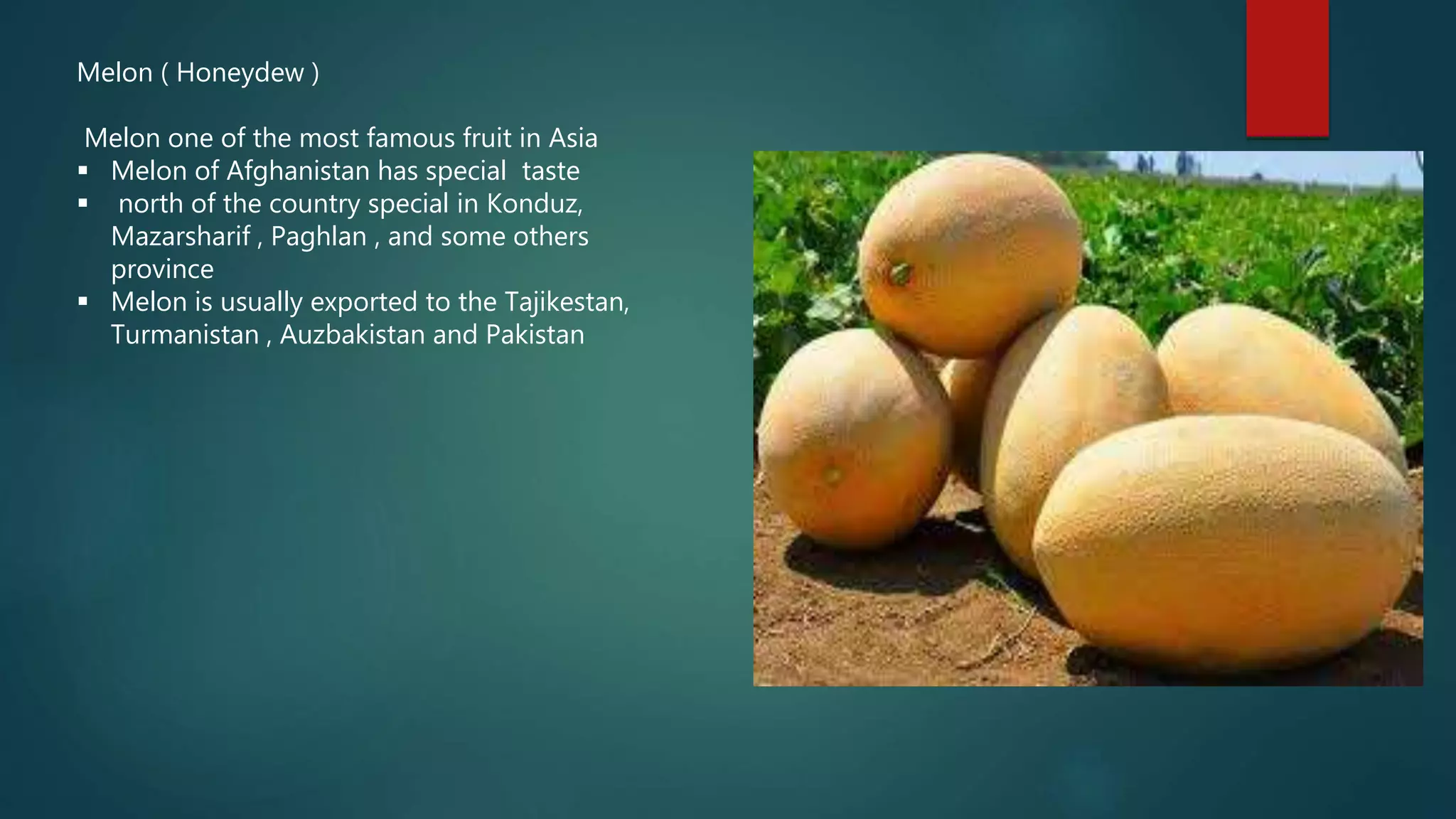 Introduction of afghanistan fruits | PPTX