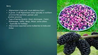 Introduction of afghanistan fruits | PPTX