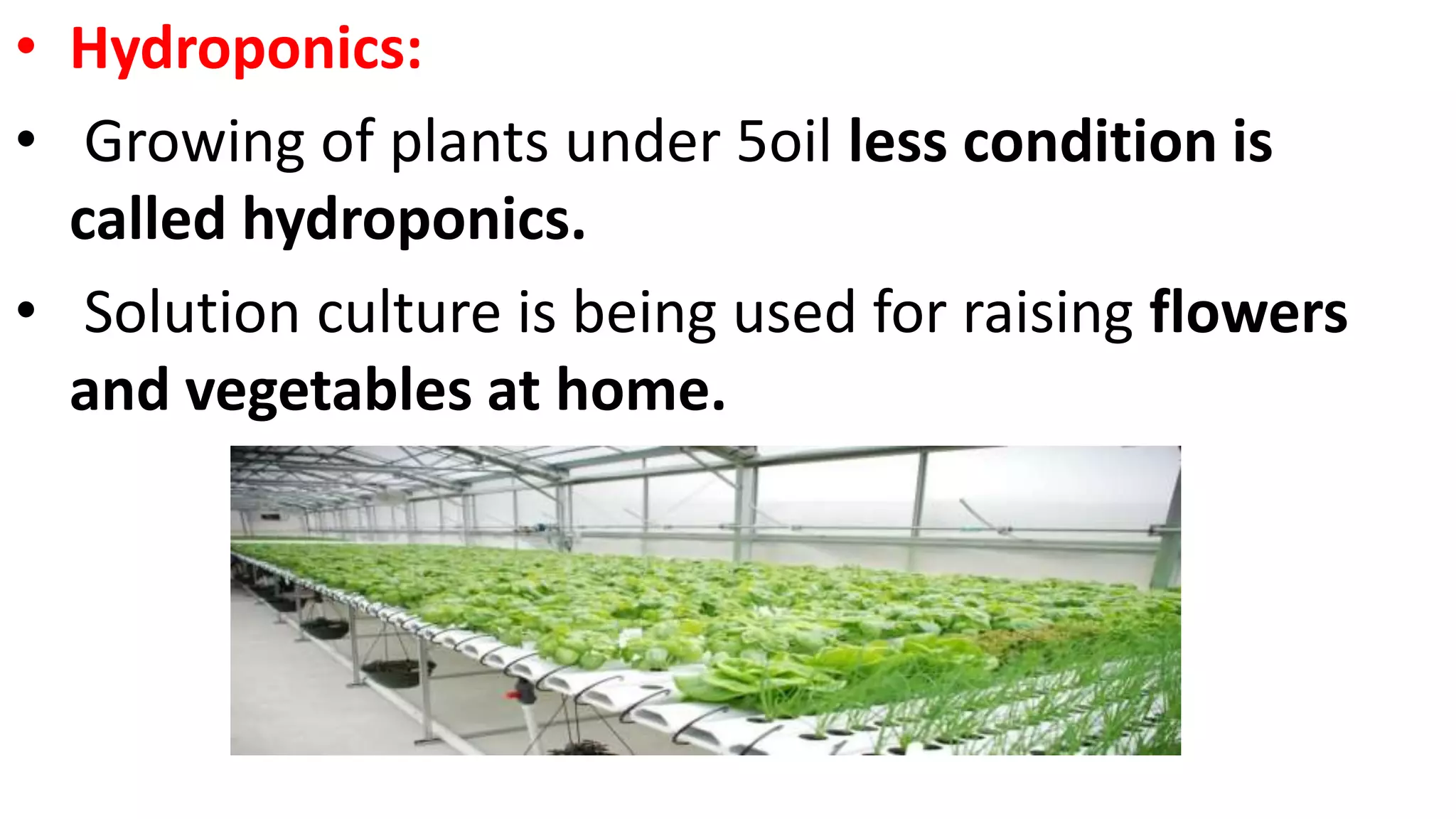 Introduction of agriculture | PPTX