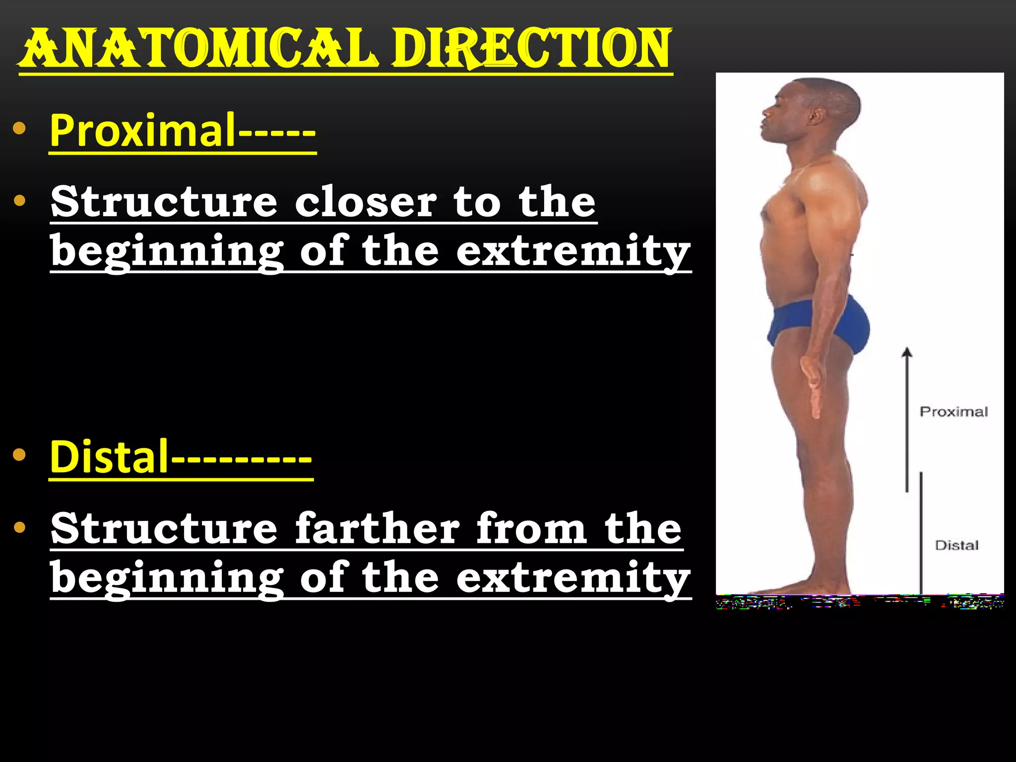 Introduction of anatomy | PPT