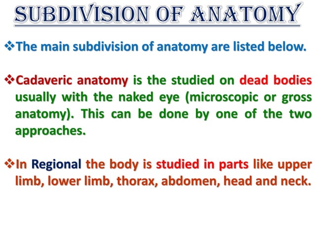 Introduction of anatomy | PPT