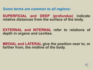 Introduction to anatomy | PPT