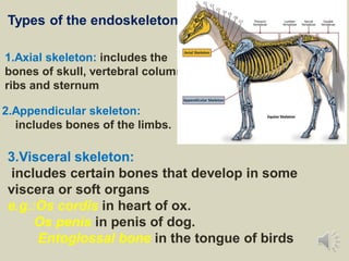 Introduction to anatomy | PPT