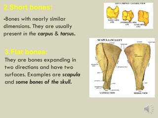 Introduction to anatomy | PPT