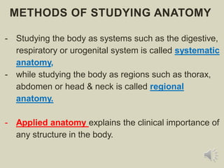 Introduction to anatomy | PPT