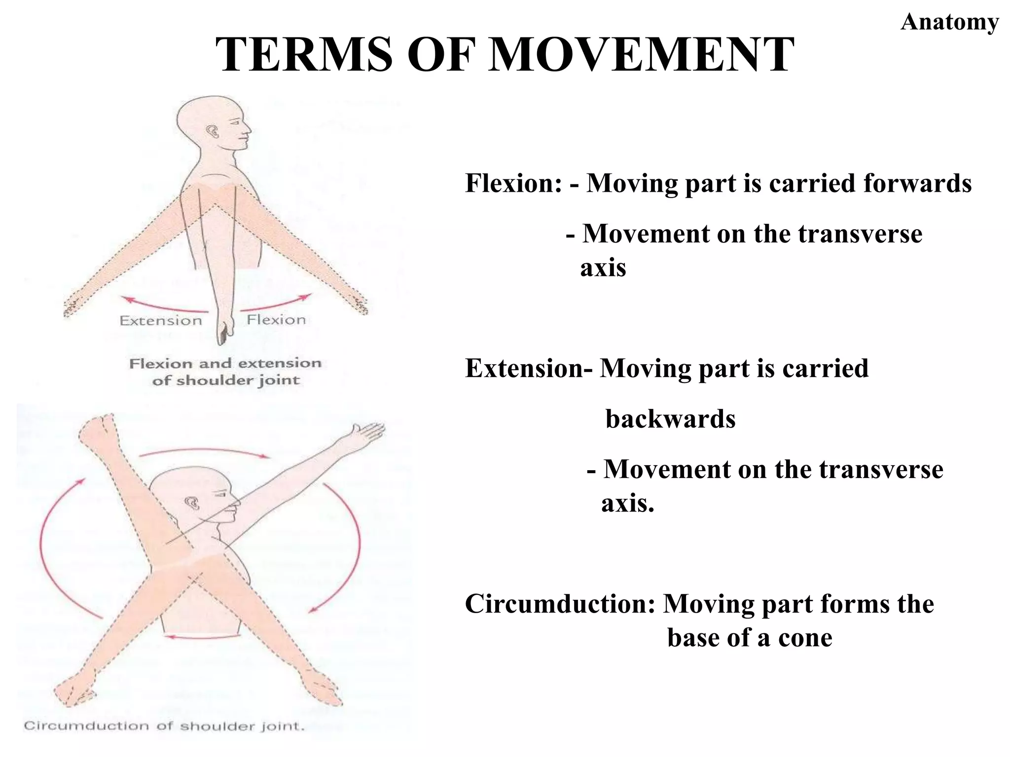 introduction of Anatomy | PPT