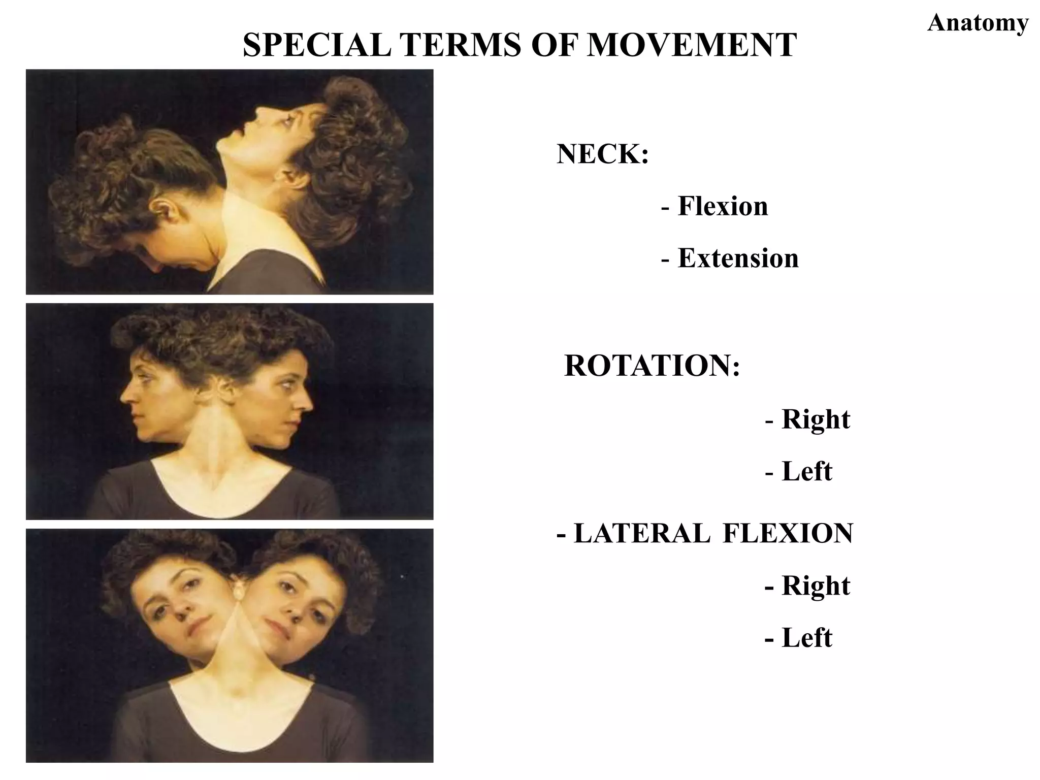 introduction of Anatomy | PPT