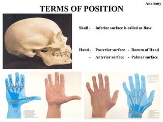 introduction of Anatomy | PPT