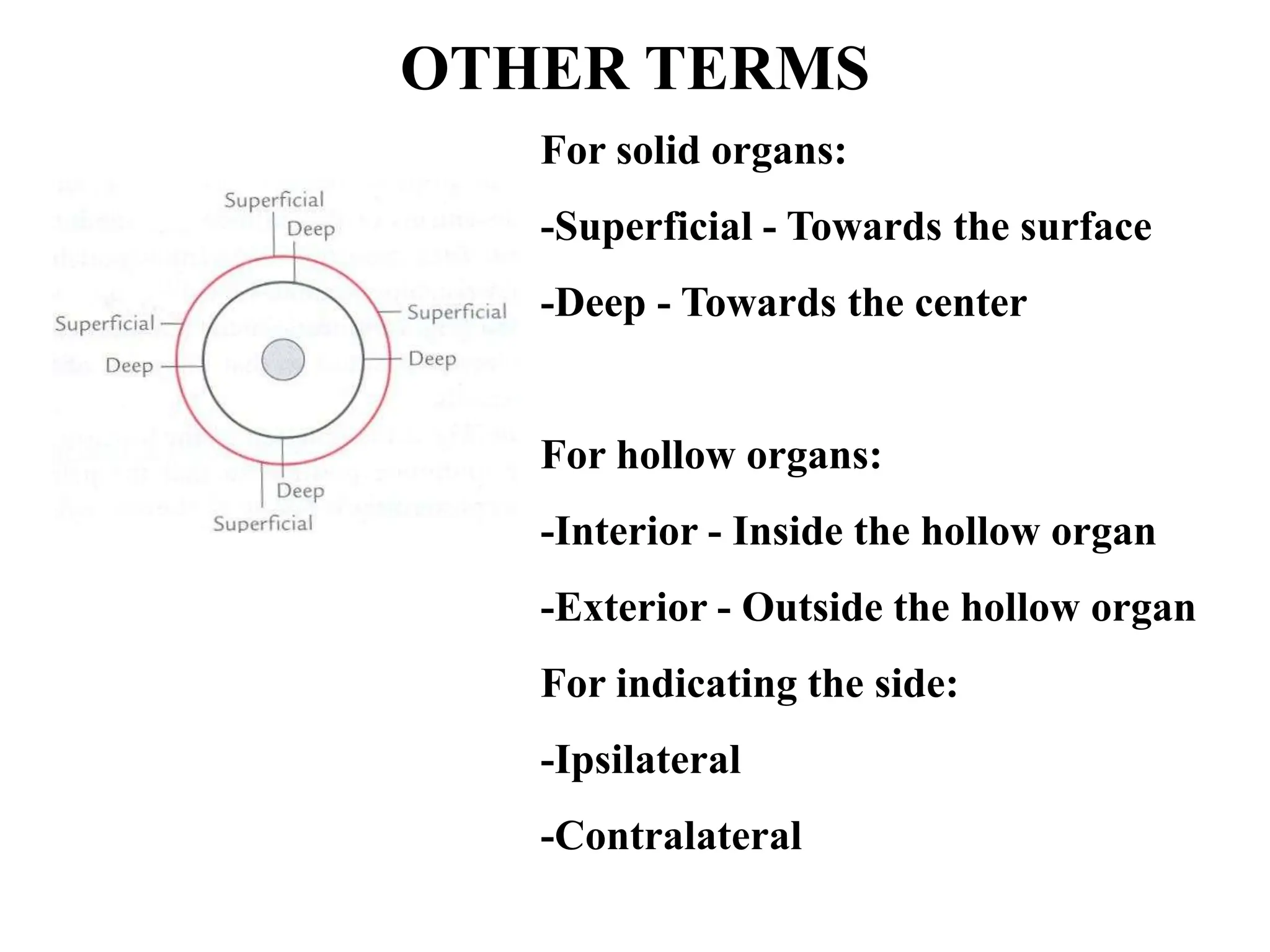 Introduction_of_anatomy.pptx