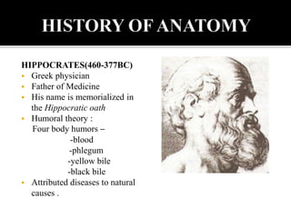 introductioeeeeeeeeeeeeeen_of_anatomy.ppt