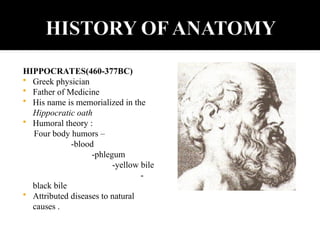 introduction_of_anatomy in detail presentation | PPT