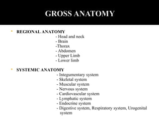 introduction_of_anatomy in detail presentation | PPT