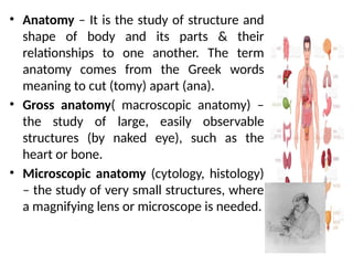 introduction of anatomy and physiology.pptx
