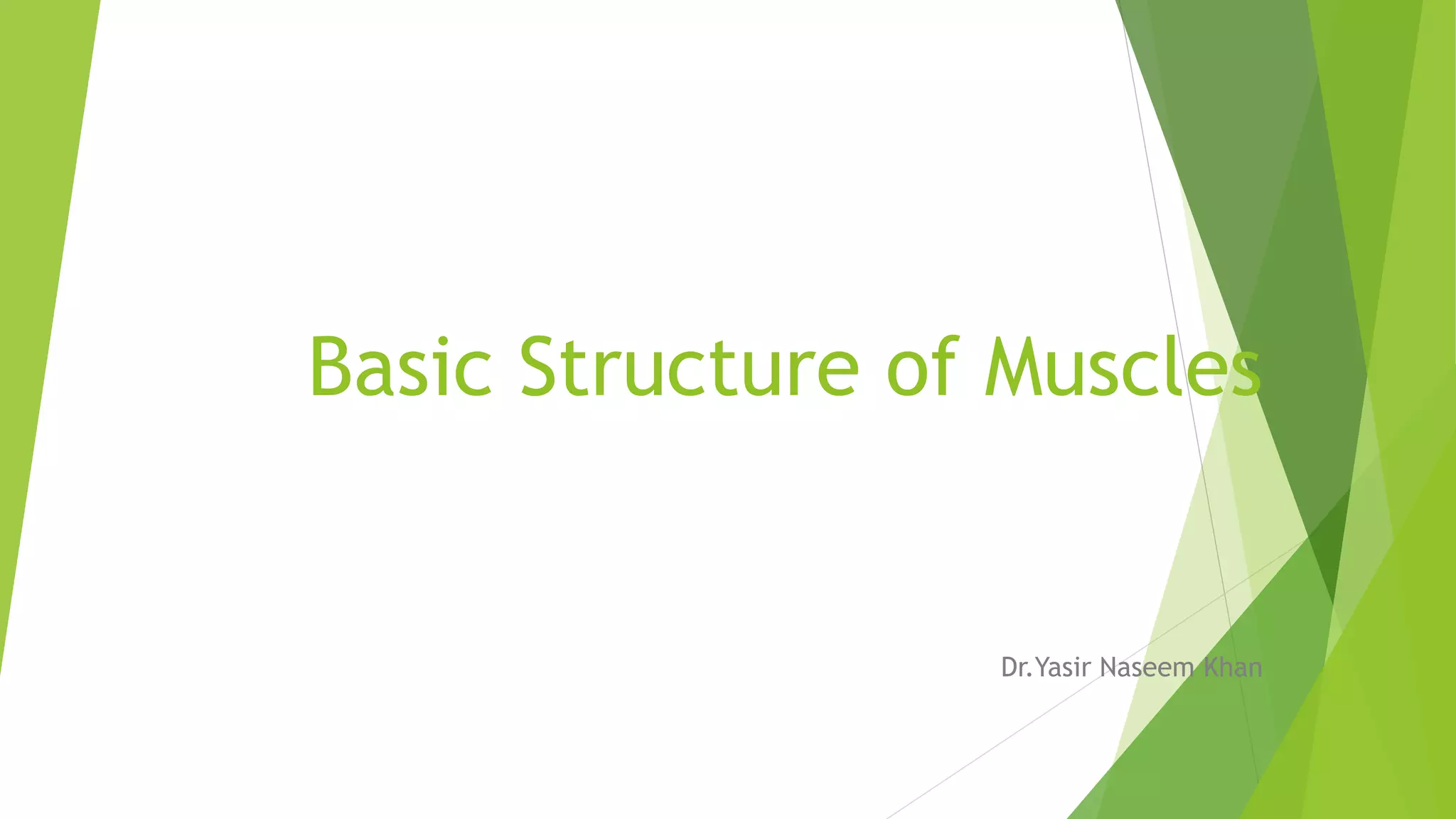 Introduction of anatomy basic structure of muscles | PPTX