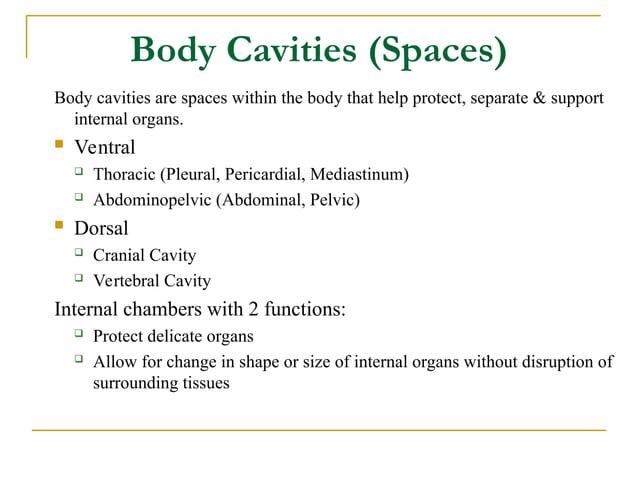 INTRODUCTION OF ANATOMY & PHYSIOLOGY.ppt INTRODUCTION OF ANATOMY & PHYSIOLOGY.ppt