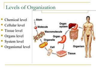 INTRODUCTION OF ANATOMY & PHYSIOLOGY.ppt