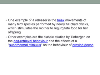 Introduction of Animal Behaviour.pptx
