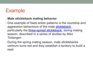 Introduction of Animal Behaviour.pptx