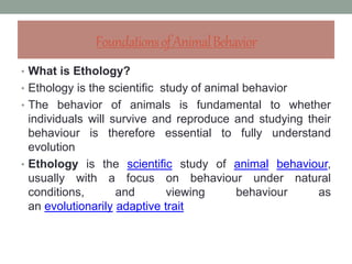 Introduction of Animal Behaviour.pptx