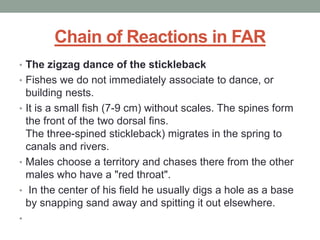 Introduction of Animal Behaviour.pptx