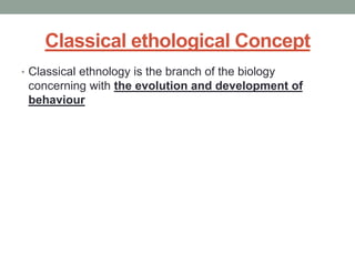 Introduction of Animal Behaviour.pptx