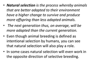 Animal Science: Introduction of Animal Breeding.pptx