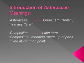 Introduction of asteraceae | PPTX