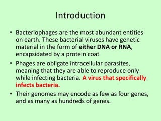 Bacteriophage viruses (Ashish choudhary) presentation.pptx