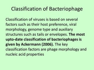 Bacteriophage viruses (Ashish choudhary) presentation.pptx
