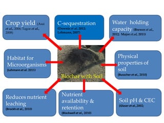 biochar matters in plants-200829220240.pptx