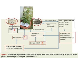 biochar matters in plants-200829220240.pptx
