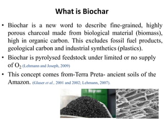 biochar matters in plants-200829220240.pptx
