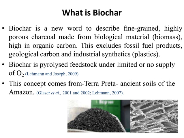 biochar matters in plants-200829220240.pptx