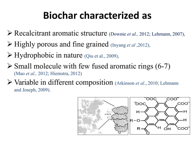 biochar matters in plants-200829220240.pptx