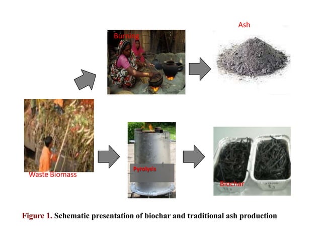 biochar matters in plants-200829220240.pptx