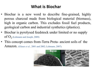 Introduction of biochar | PPTX