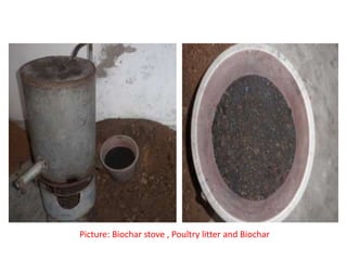 Introduction of biochar | PPTX