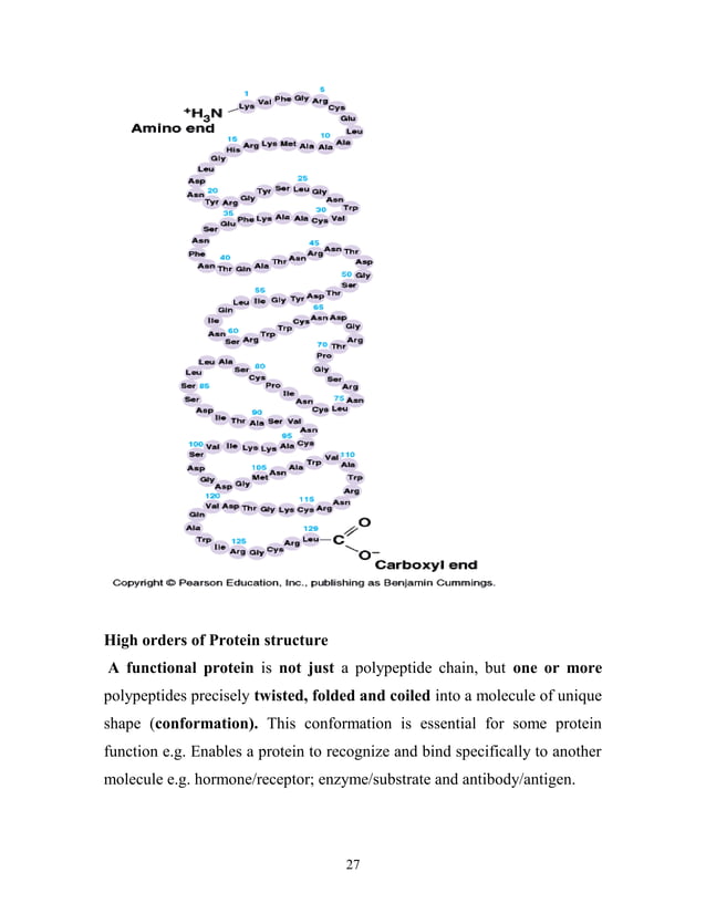 Introduction of biochemistry | PDF