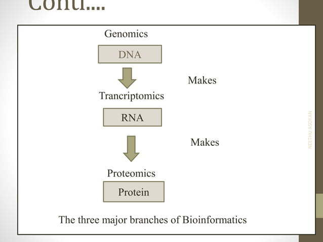 Introduction of bioinformatics | PPTX