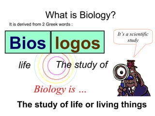 Introductionof biology | PPT | Biological Sciences | Science