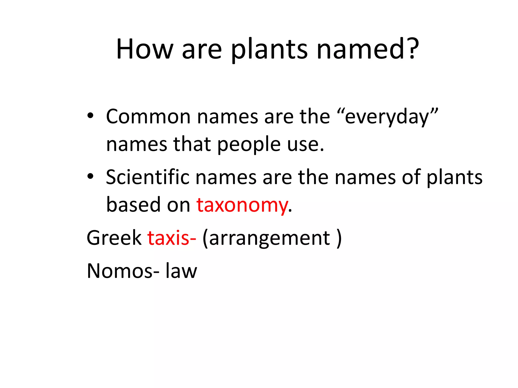 introduction of botany-1.pptx