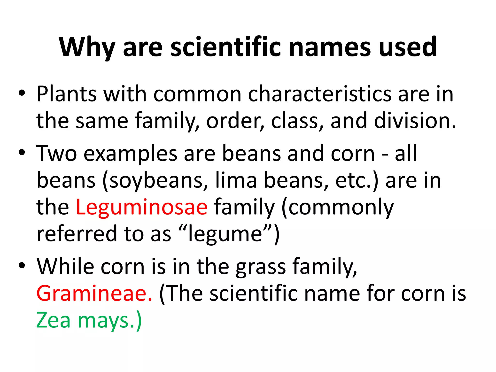 introduction of botany-1.pptx