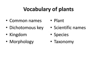 introduction of botany-1.pptx